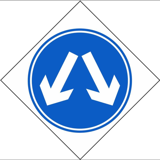 RUS 003 Pass Either Side | Regulatory Traffic Road Safety Signs